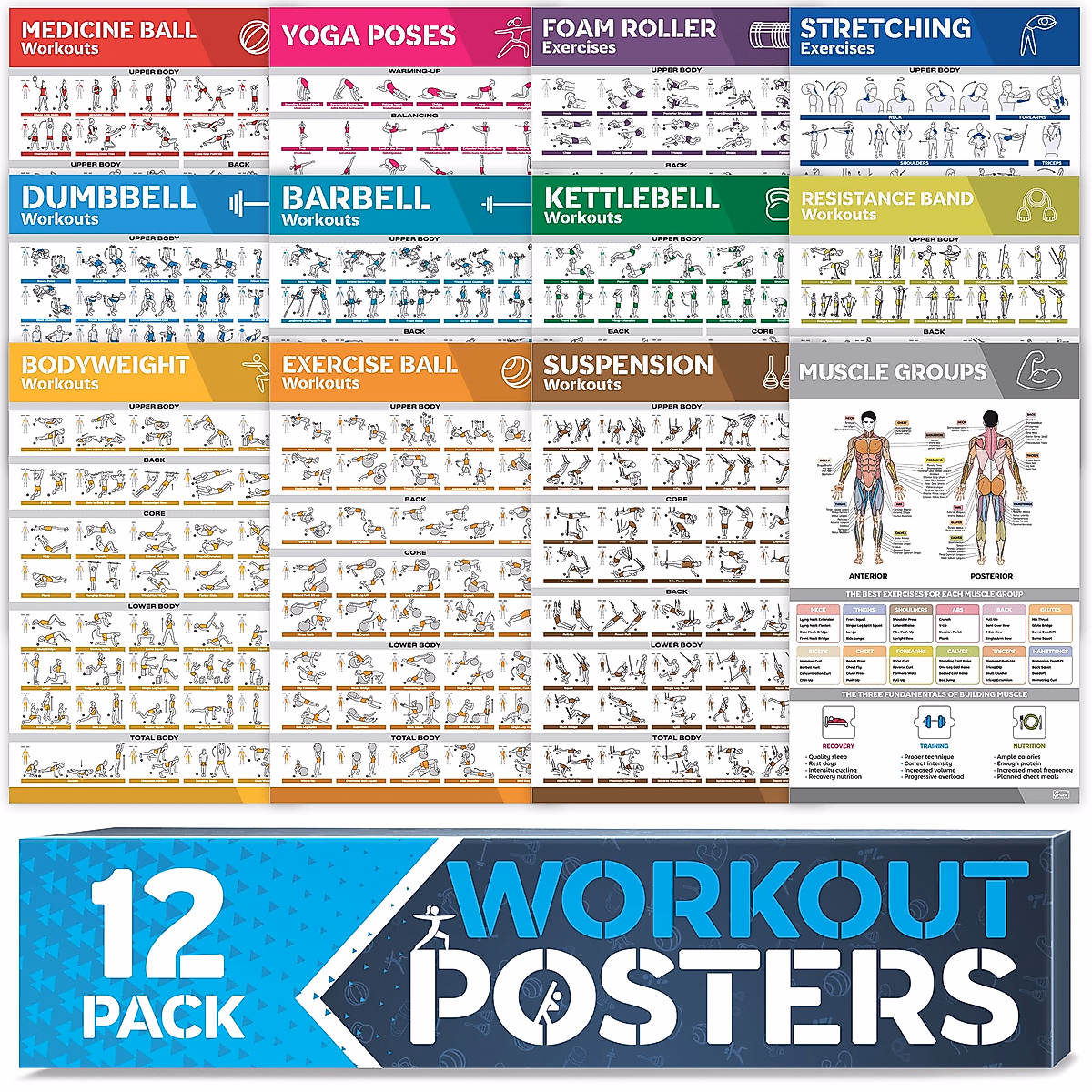 [12-PACK] Laminated Large Workout Poster Set - Perfect Workout Posters for Home Gym - Exercise Charts Incl. Dumbbell, Yoga Poses, Resistance Band, Kettlebell, Stretching & More Fitness Gym Posters