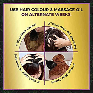 Indus Valley Natural Organic Hair Color with Spa for Hair Conditioning, Dye Up to 20% Grey Coverage, Ecocert, Vegan, USDA Organic, Certified –Soft Black (100g+10ml)