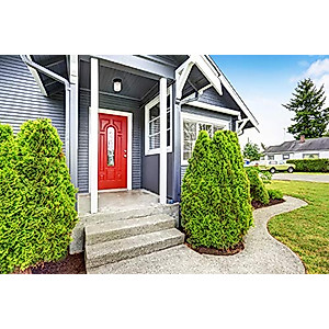 Design House 587238 Jelly Jar 1-Light Indoor/Outdoor Flush Mount Ceiling Light, Oil Rubbed Bronze