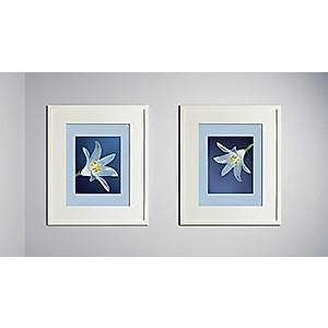 Fox Hollow Furnishings 13x16 Regular Concealed Cabinet - Medicine Cabinet with Picture Frame Door! (White)