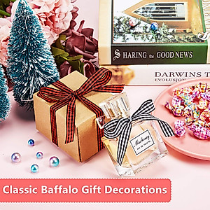 100 Yards Easter Gingham Ribbon - 3/8 Inch Wide Checkered Ribbons for Hair, Craft Decoration & Gift Wrapping - Valentine's Day - 2 Rolls (Red & Black, Black & White)