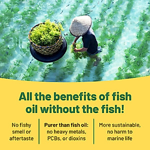 Vegan Vitality Vegan Omega 3 Supplement - 60 Plant Based Algae Oil Soft Gels Essential Fatty Acids with Vegan DHA for Joint, Heart & Immune Support Without EPA