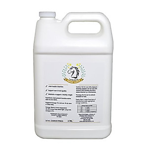 Smart Earth Camelina Horse Oil Supplement for Equine Care & Feed | Essential Oils for Joint Health | 1gal Jug