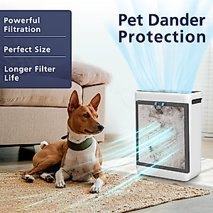 Vital 200S Replacement Filter for LEVOIT Vital 200S and Vital 200S-P Air Purifier, H13 True HEPA and High-Efficiency Activated Carbon Vital 200S-P Replacement Filter, Vital 200S-RF, 2 Pack, White