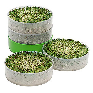 Kitchen Crop VKP1234 Deluxe Kitchen Seed Sprouter, 1 Oz Alfalfa and 1 Oz Broccoli Included