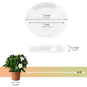 FEELOVE Plant Saucer, 6 Pack of 6 inch Plant Trays for Indoors, Thicker Plastic Flower Pot Saucers, Clear Plant Saucer Drip Trays with no Holes (6 Inch)
