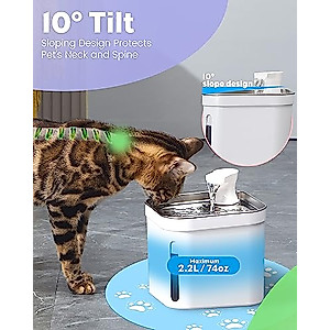 Petnimal Cat Water Fountain, 74oz/2.2L 304 Stainless Steel Cat Fountain Water Bowl with Water Level, Quiet Automatic Pet Water Fountain with Silicone Mat, Pet Fountain for Cats Dogs Multiple Pets