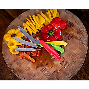 Spyderco Z-Cut Kitchen Knife with 4.4" Pointed Tip CTS BD1N Stainless Steel Blade and Durable Green Polypropylene Handle - PlainEdge - K14PGN