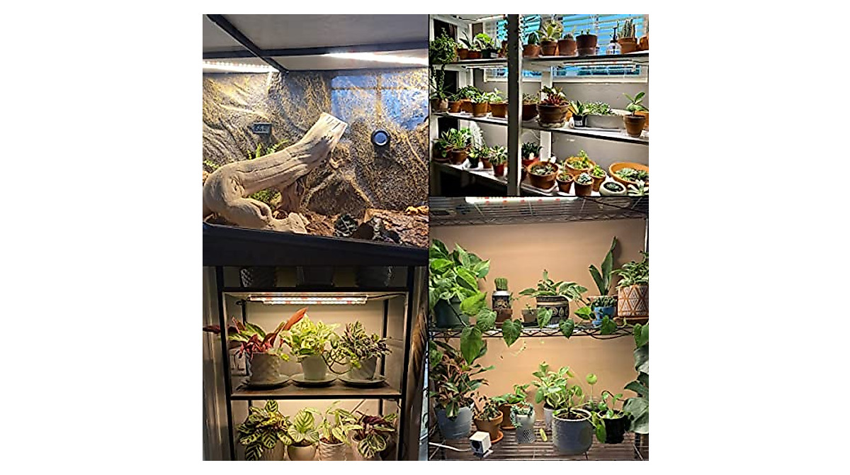 GYTF LED Grow Light Strips - Enhance Indoor Plant Growth