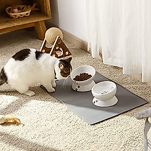 Y YHY Cat Food Bowls, Elevated Tilted for Food and Water, 2 Raised Cat Bowls Set with Tick Marks, for Flat-Faced Cats and Small Dogs - 12/16 OZ Ceramic