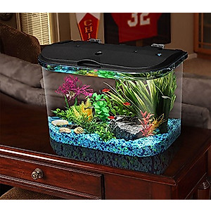 Koller Products 5-Gallon Aquarium Kit with LED Lighting and Power Filter, Ideal for a Variety of Tropical Fish