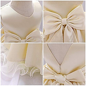 Flower Toddler Baby Girls Dress Formal Bowknot Tutu Backless Ruffle Puffy Tulle Gowns Princess Wedding Communion Christening Baptism Pageant Birthday Lace Party Wear Summer Suit Champagne 5-6X