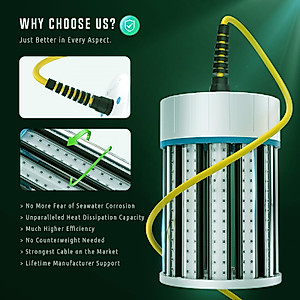 Tendelux Ultra-Bright Underwater Fishing Light, 110V & 12V Green LED Submersible Light Attractants for Docks, Boats or Kayaks, IP68 Rated for Fresh & Salt Water (30ft Cable)