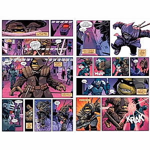 Teenage Mutant Ninja Turtles: The Last Ronin