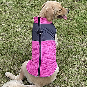 HonpraD Pet Clothes for Small Dogs Girls Dress Reflective Waterproof Pet Coat Winter Warm Dog Coat for Small Medium Large Dog