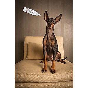 Warren London Instant Ear Cleaner for Cat & Dog with Aloe and Eucalyptus to Clean, Soothe, Control Odor, and Prevent Irritation | Ear Itching Essential I Made USA | 4oz