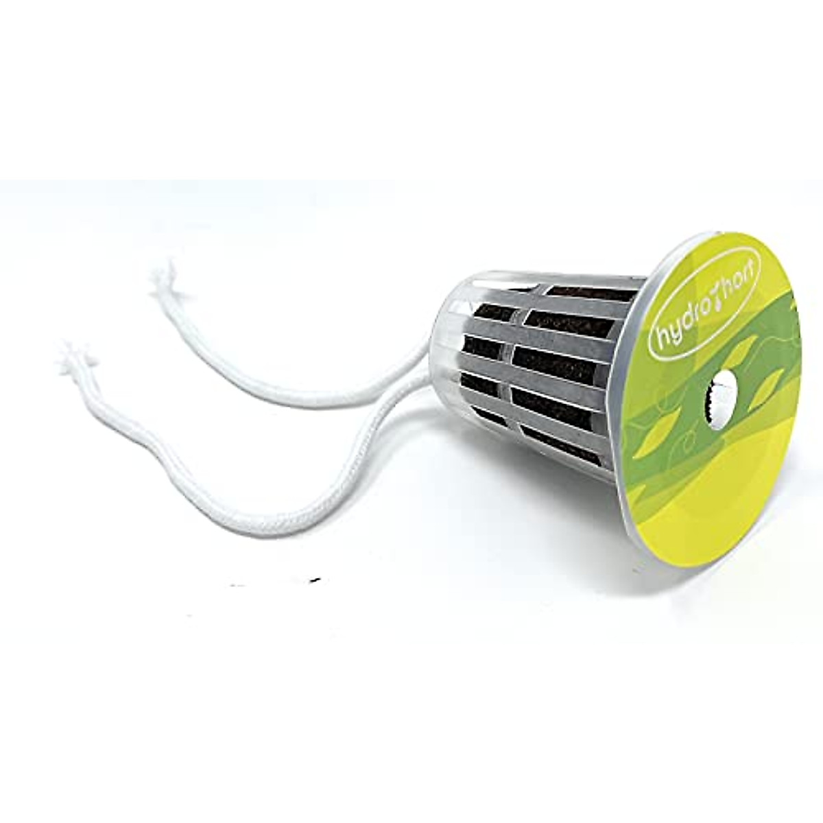 Curly Parsley Herb Growing Kit by Hydrohort | Growing Parsley Seeds is Easy with Our Mason Jar Herb Garden Starter Kit | Parsley Seeds for Planting are Perfect in Our Herb Kit