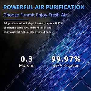 2 Pack Blue Pure 411 Filter Replacement Compatible with Blueair Blue Pure 411 Genuine, 411+, 411 Auto and MINI Air Purifiers, H13 True HEPA Filter, Particle and Activated Carbon by Funmit