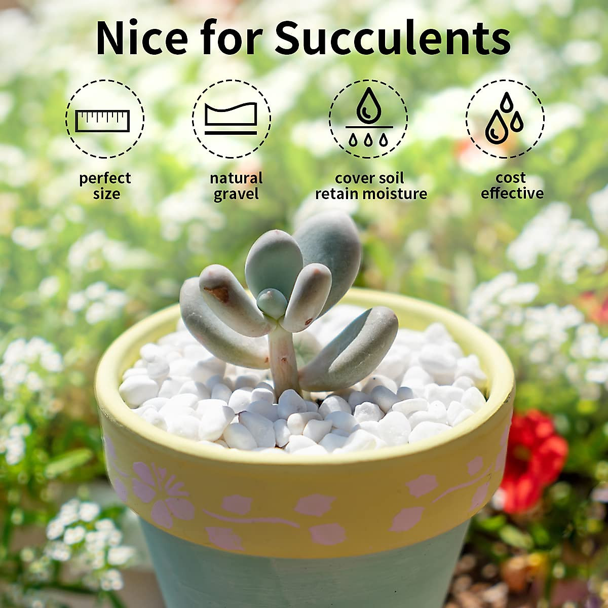 FANTIAN 2 lbs White Gravel, 3/8 Inch White Pebbles for Indoor Plants. White Stones for Succulents, Planters, Vase and Outdoor Garden Landscaping