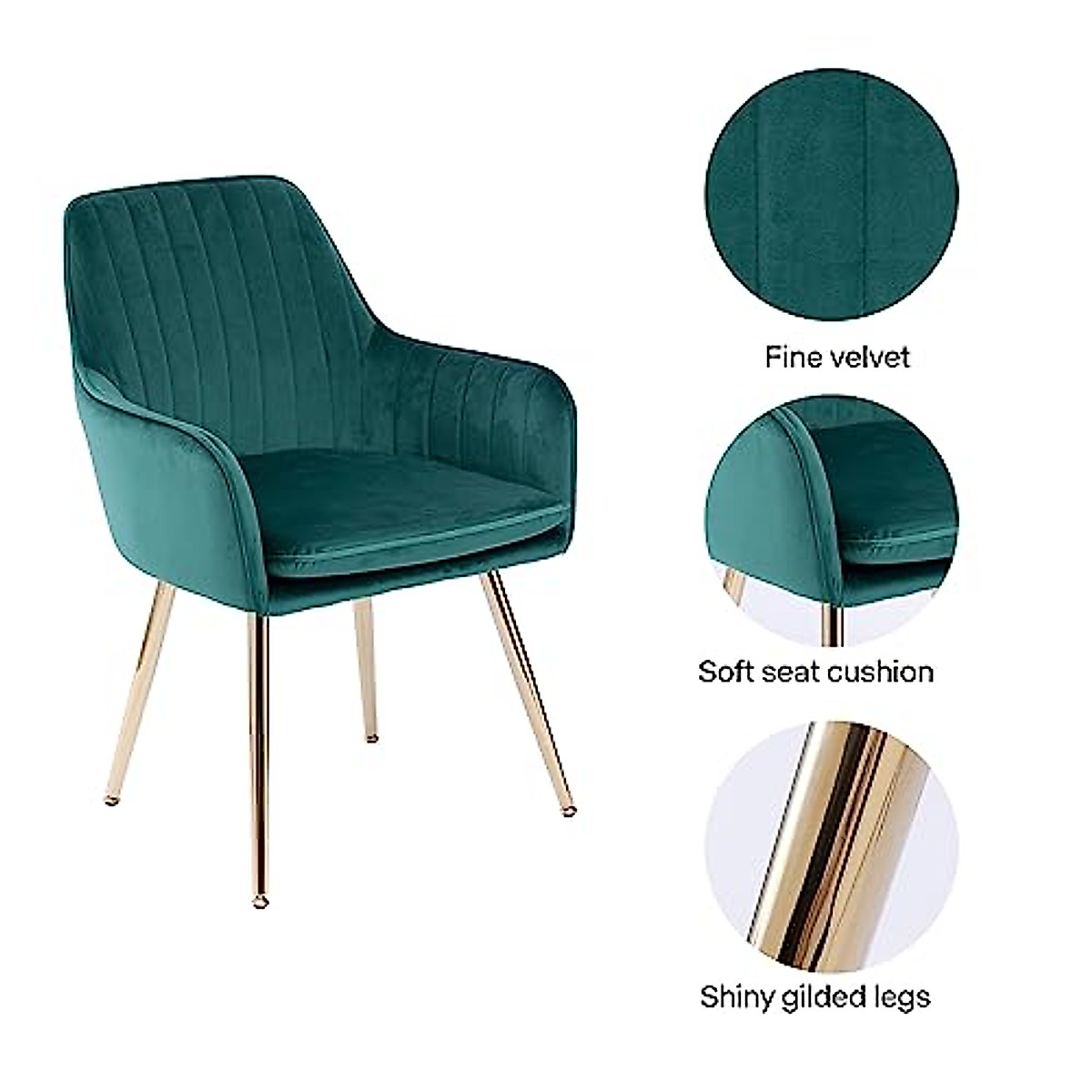 Purgreen Velvet Dining Chair Set of 2 - Modern Mid-Back Accent Chair with Gold Plating Legs - Upholstered Living Room Chair (Velvet Green, Set of 2)