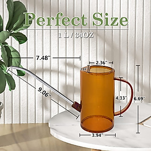 Qilebi Small Watering Can for Indoor Plants, Indoor Watering Can with Stainless Steel Long Spout, Plant Watering Can for House Plant Flowers Garden 1 L/34 oz