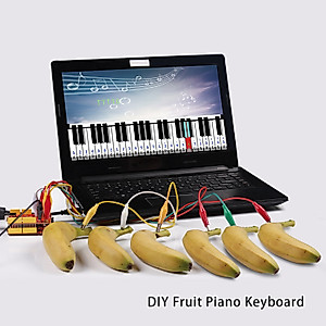 SunFounder FruitKey USB Keyboard DIY Starter Kit Gamepad Control Handle DIY Computer Keyboard, Worked with PC Mac OS X Raspberry Pi for Arduino Uno R3 Leonardo