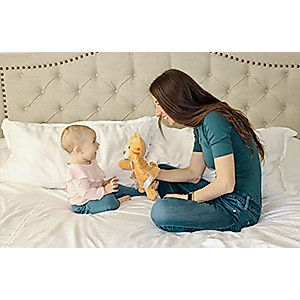 Mary Meyer Baby Einstein First Discoveries Hand Puppet Pal, 13-Inches, Tinker Tiger