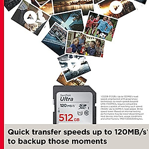 SanDisk 256GB Ultra SDXC UHS-I Memory Card - 120MB/s, C10, U1, Full HD, SD Card - SDSDUN4-256G-GN6IN