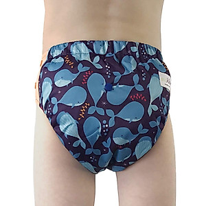 Hybrid Cloth Diaper - Reusable Training Pants, Swim Diaper, Special Needs Briefs, Fits from Baby up to 10 Years (Size 3, Whale)
