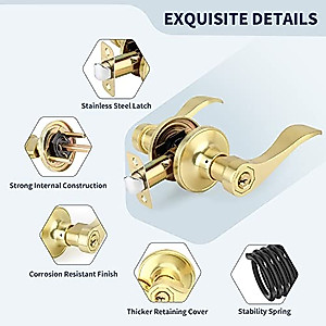 LOQRON Wave Style Door Lever Keyed Entry Door Handle with Lock, Entrance Lever Reversible for Left/Right Handed for Office or Front Door with Satin Brass Finish, 1 Pack