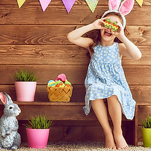 6 Pcs Easter Plush Stuffed Egg Toys Easter Basket Stuffers Plushies Playset Easter Party Favors Decorations for Kids, 3 Designs