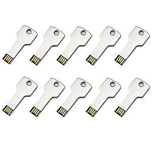 Lot 10 2GB Key Shape USB 2.0 Flash Drive 2G Metal Memory Pen Stick Thumb Drive Wholesale Bulk Pack (2GB, Silver (Stainless Steel))