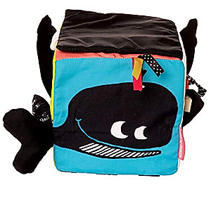 Manhattan Toy Wimmer-Ferguson Learning Cube Multisensory Soft Baby Activity Toy