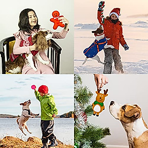 ZALALOVA Christmas Dog Stocking Gifts Toys Set, 6 PCS Xmas Dogs Toys with Squeaky Toys Chew Toys Assorted Crutch Gingerbread Man Bone Shape Christmas Candy Cane Shape Chewer Interactive Ball Gifts