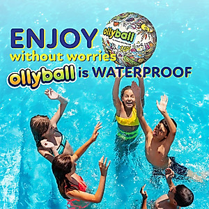 Ollyball Collectors Quest Indoor Coloring Ball