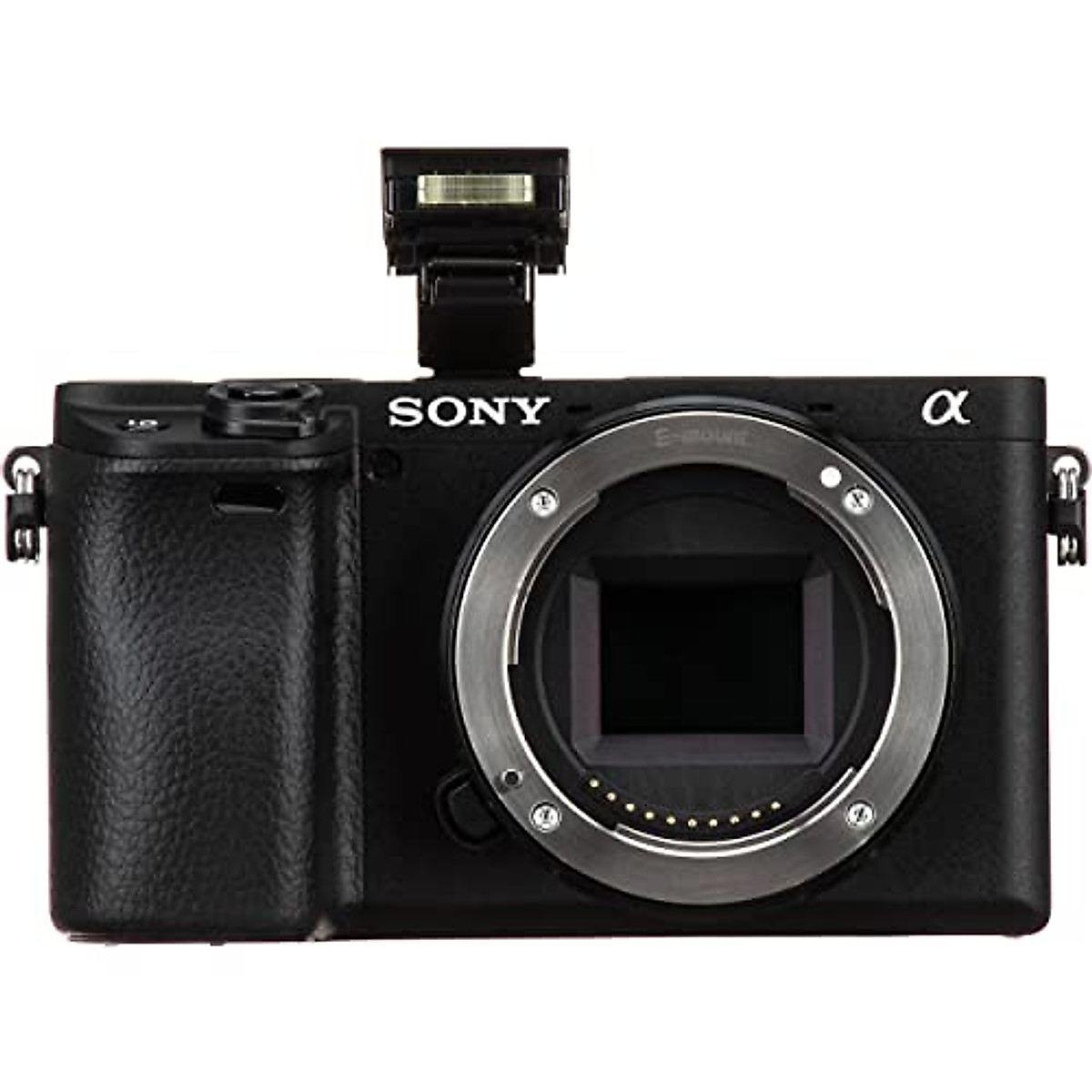 Alpha a6400 Mirrorless Digital Camera (Body Only)