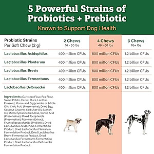 Doggie Dailies Probiotics for Dogs, 225 Soft Chews, Advanced Dog Probiotics with Prebiotics, Promotes Digestive Health, Supports Immune System and Overall Health (Pumpkin)