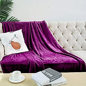 VANSILK Flannel Fleece Throw Blanket for Couch Purple 300 GSM, Lightweight Luxury Fuzzy Cozy Throws and Blankets for Sofa or Bed, Super Soft & Comfy (90x90 Inches)