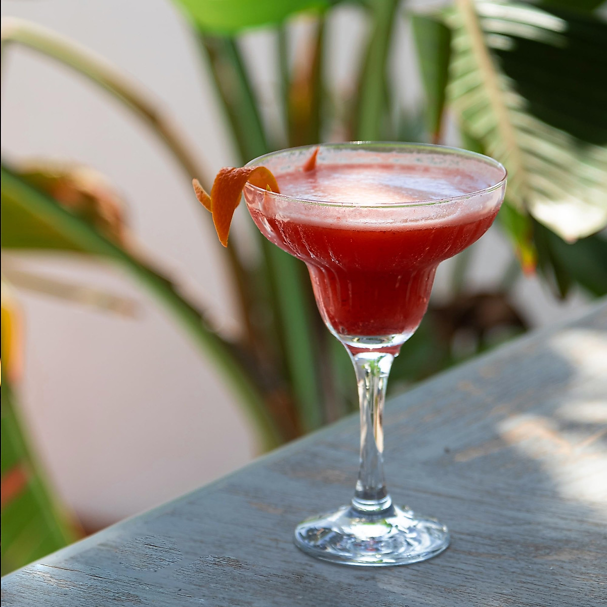 GRACE ERA Margarita Glasses Set Cocktail Glasses for Bar, Frozen Margaritas, Martini, Mixing Cocktails, Gin and Tonic glasses, Set of 2-10oz (Set of 2)