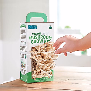 Back to the Roots Organic Oyster Mushroom Grow Kit, Harvest Gourmet Mushrooms In 10 Days