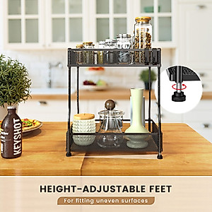 Under Sink Organizers and Storage, PHINOX Under Sink Storage for Kitchen with 4 Hooks, Reinforced Metal Kitchen Sink Cabinet Storage Organizer-2 PACK