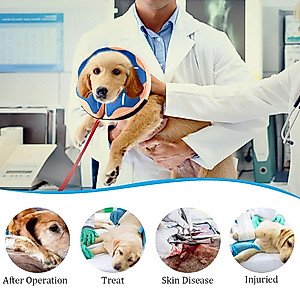 Dog Donut Collar,Dog Recovery Collar Dog Cone Alternative After Surgery,Large/Medium/Small Dogs and Cats (Blue, Large)