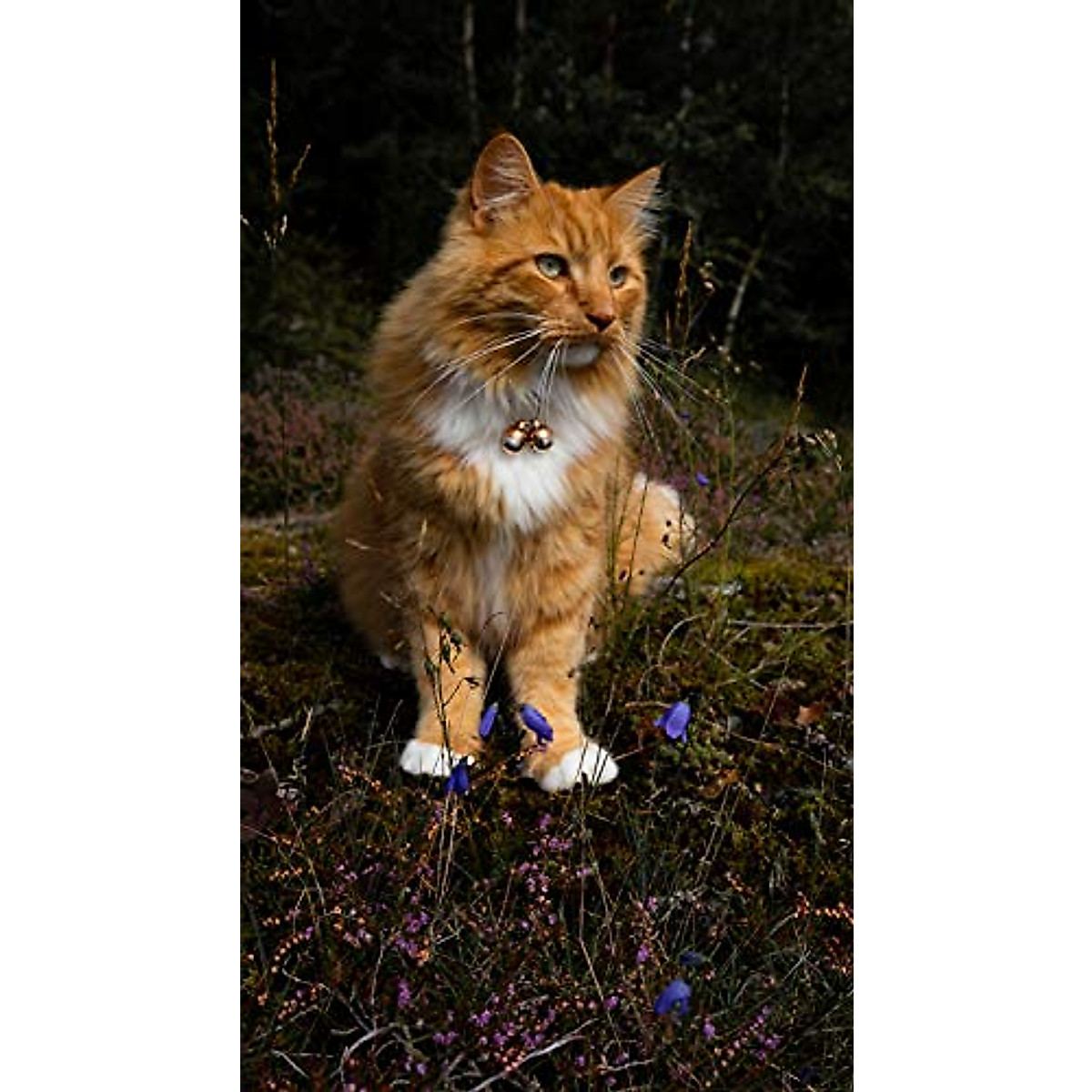 Beau's Bells 2 Extra Loud Cat & Dog Bells | Pet Tracker | Save Birds & Wildlife | Luxury Handmade Copper (Small)