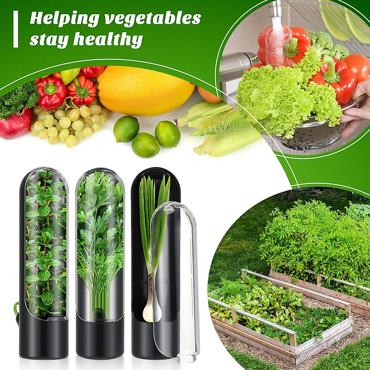 Mifoci 6 Pack Herb Saver Pod Herb Saver for Refrigerator Herb Keeper Cilantro Container Herb Storage Containers Herb Holder for Fridge Parsley Asparagus Cilantro Keeps Fresh for 2-3 Weeks