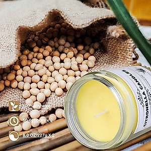 Citronella Candles Outdoor Large, 2 Pack Lemon Scented Candle, 16 OZ Natural Soy Wax Candles Set for Indoor Garden Patio Yard Home Balcony Bedroom Park Terrace Camping - 100 Hours Burning Time