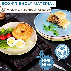 4pcs Wheat Straw Plates Set - Microwave Plate Plastic Plates Reusable Wheat Straw Dinnerware Sets Camping Plates Wheat Plates Microwavable Plates - Unbreakable Plates Microwave Plates for Heating Food