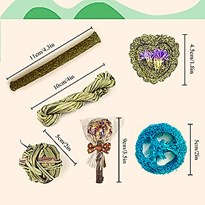 FIPASEN Rabbit Chew Toys for Teeth, 16PCS Natural Timothy Hay Chew Toy, Improve Dental Health for Bunny/Chinchilla/Guinea Pig/Hamsters/Holland Lop, Small Rodent Pet Molar Teeth Treats Toys