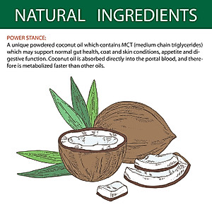 Power Stance Powdered Coconut Oil Horse Supplement - May Support Coat Condition, Digestive Health and Stamina, GMO & Sugar Free - 5 lb