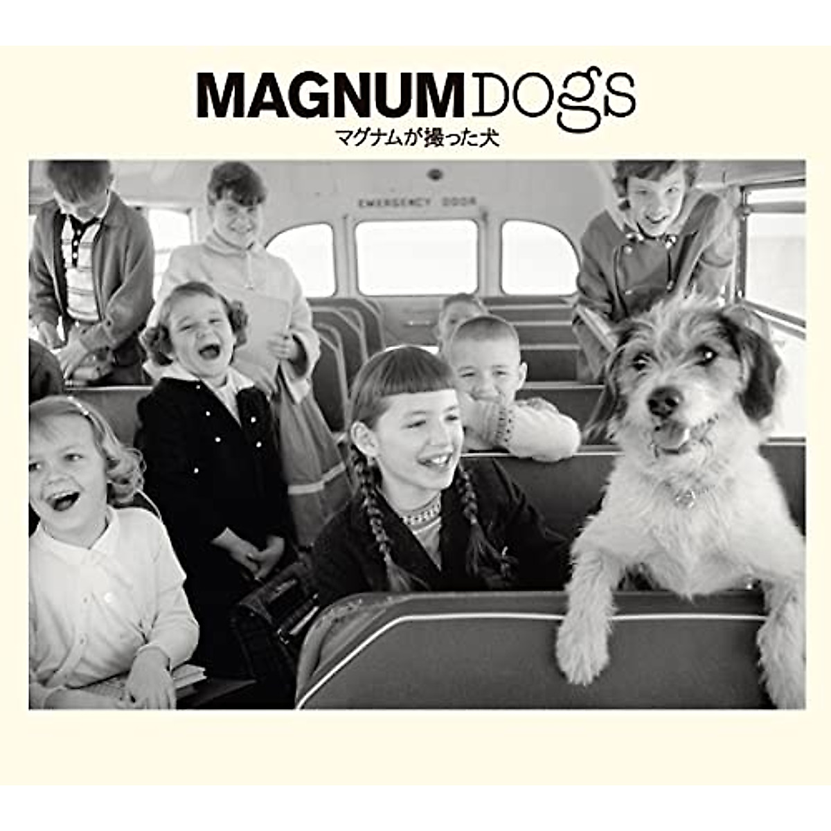 MAGNUM DOGS マグナムが撮った犬