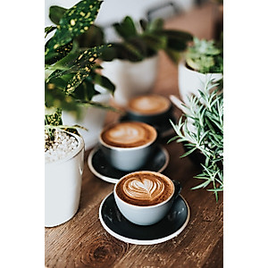 Majestick Goods Bamboo Wooden Coffee Stir Sticks 1000 Count | 7.5" Premium Wooden Coffee Stirrers | Non-Plastic Eco-Friendly Wood Stirring Stick, Disposable Drink Stirrer 1000/Box 7.5 inch Stirs